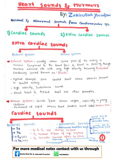 4 Heart Sounds And Murmurs 1 Pdf