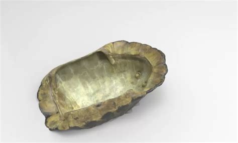 Model Of Tortoise Shell 3d Printing Model Threeding