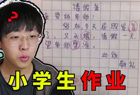 孩子你这作业给老师看了吗？【小学生作业】 棉白有点笨 棉白有点笨 哔哩哔哩视频