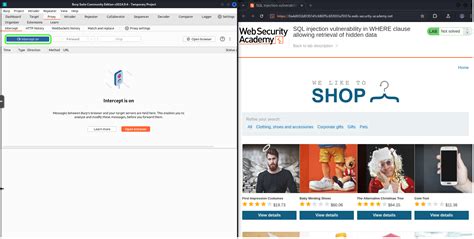 a practical guide to burp suite