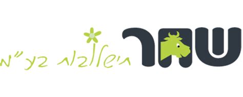 About Shira Rosen Packtech Expertise