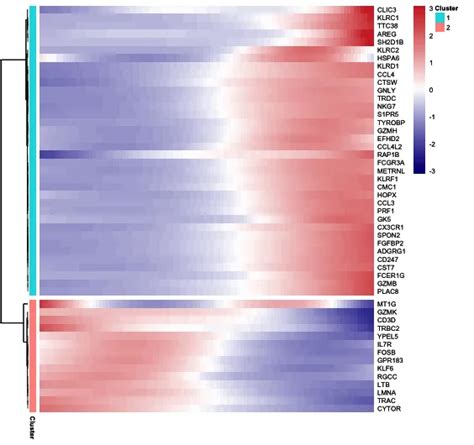 单细胞拟时序 轨迹分析原理及monocle2流程学习和整理 Csdn博客