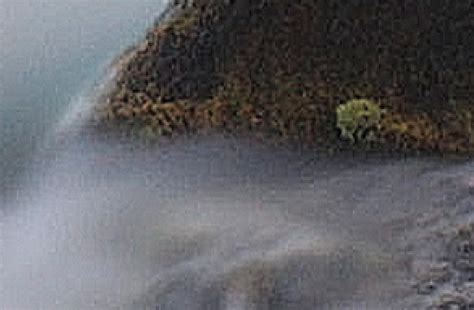 Kuuvik Capture 33 Block Artifact Reduction Laszlo Pusztai