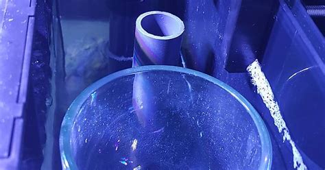 Overflow Album On Imgur