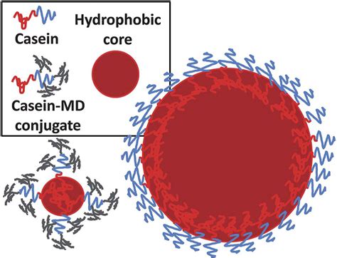 Israeli Team Conquers Cloudy Drinks Problem With New Nutraceutical Nano