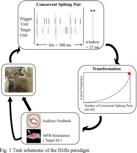 Figure 1 From Volitional Modulation Of Temporal Spiking Patterns