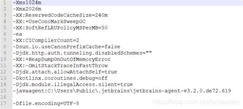 idea edit custom vm options 修改参数后启动闪退 csdn博客