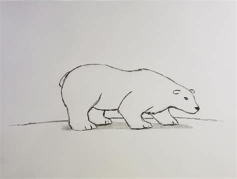 Gratis Bilder Av Isbj Rn Tegning Og Isbj Rn Pixabay