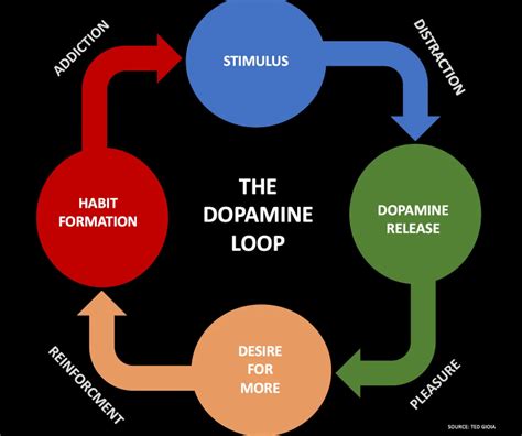 The Addictive Distraction Of Digital Dopamine Dying Words