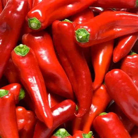 خواص پاپریکا تازه 2 خاصیت شگفت انگیز رضیم