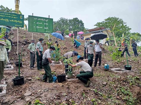 လှိုင်းဘွဲမြို့ ကျိုက်မုရောစေတီတော်ဝန်းကျင်၌ မိုးရာသီအကြို သစ်ပင်စိုက်ပျိုးပွဲ ကျင်းပ