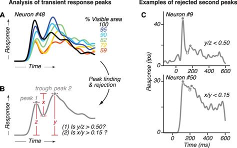 Figures And Data In Dynamic Representation Of Partially Occluded