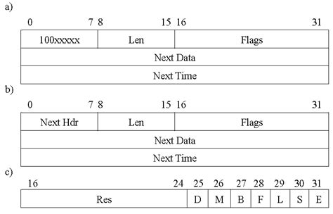 IP Traffic Flow Description Option N A IPv B IPv C Flags Download Scientific Diagram