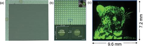 A Ingan Micro‐led Array Image Under Optical Microscope Reproduced Download Scientific Diagram