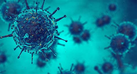 Five Facts About Viruses Biocote