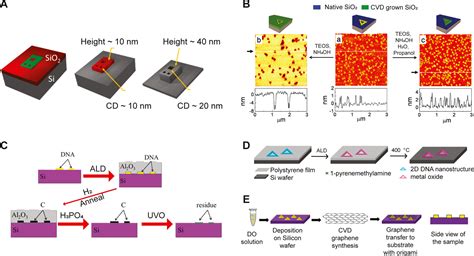 Origami De Dna