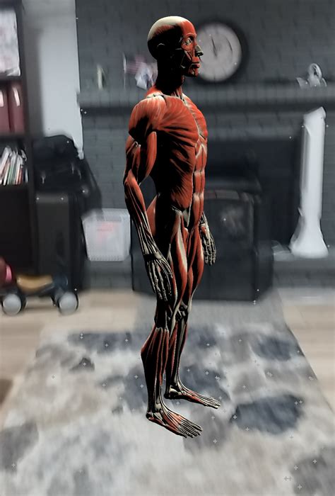 Augmented Reality Model Viewer By Vrunity