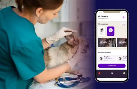 Sgv Softtech 1 Website Software And Digital Marketing Company