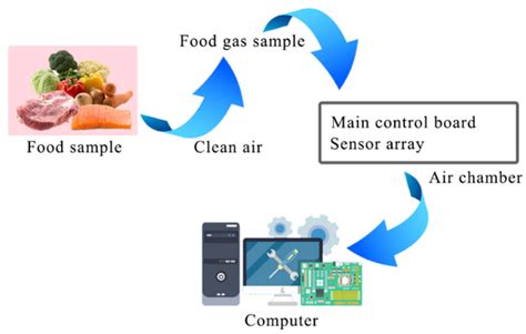 Applications Of Gas Sensing In Food Quality Detection A Review