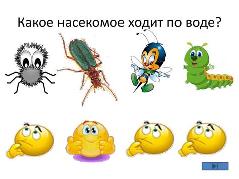 Интерактивная дидактическая игра «Насекомые презентация онлайн