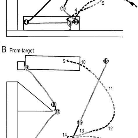 Gaze And Hand Movements For A Single Trial With The Triangular