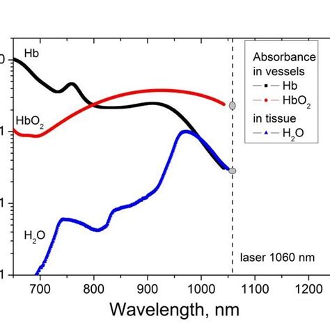 Absorption Spectra Of Hemoglobin Oxyhemoglobin And Water At Normal Download Scientific Diagram