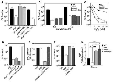 Figure 8 From Quorum Sensing Agr System Of Staphylococcus Aureus Primes Gene Expression For