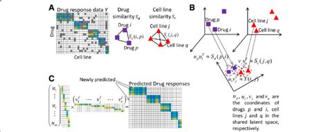 The Framework Of Drug Response Prediction Method Srmf A The Input Data