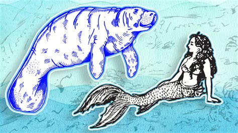 The Origins Of 13 Mythical Creatures