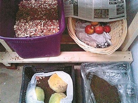 ПОЛЕЗНО Съхранение и складиране на храна Български Фермер