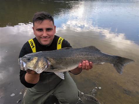 South Devon Bass Guide