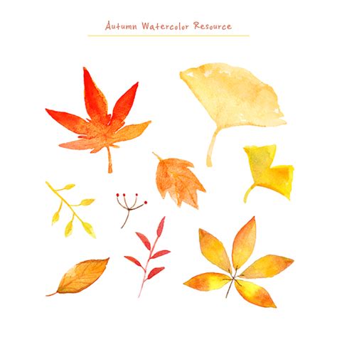 유토이미지 가을 단풍 수채화 오브젝트 세트 11