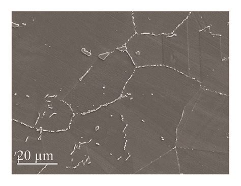 Microstructure Of Alloy 625 After Aging Sensitization For Different Download Scientific Diagram