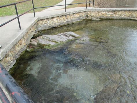 Wacky High School Mascots Bubblers Boiling Springs Pa High School