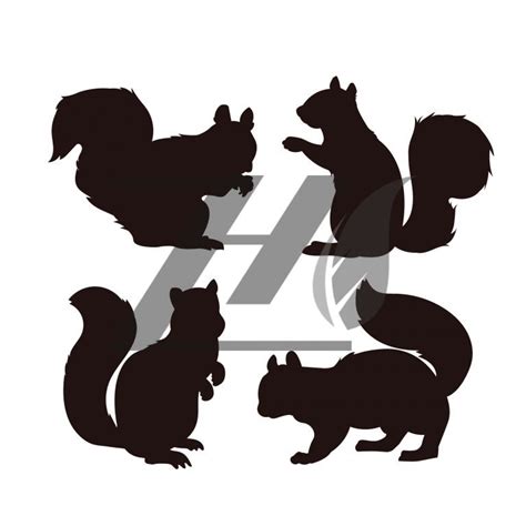 دانلود وکتور سیلوئت سنجاب دانلود رایگان فایل لایه باز، Psd، وکتور، لوگو و موکاپ