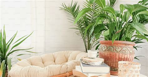 거실에 아늑한 보호 민족 인테리어가 있는 집 꽃 냄비에 녹색 식물입니다 집에서 장식 사진 Unsplash의 폴란드 이미지