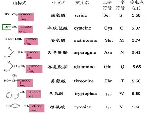 盘点 22种氨基酸的前世今生 Foodtalks全球食品资讯