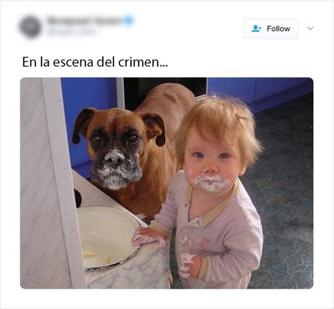 20 Personas Que Fueron Atrapadas Haciendo Cosas Vergonzosas
