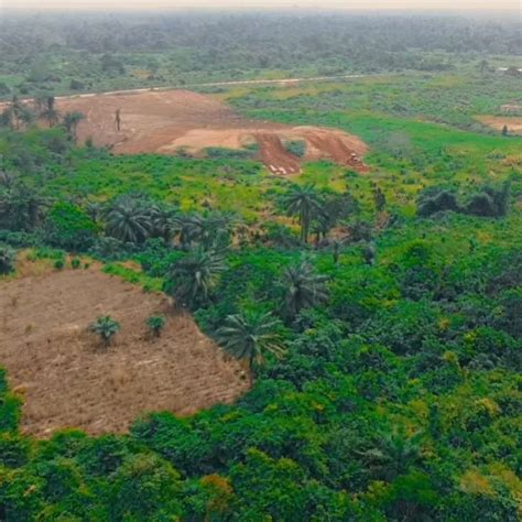 Anthony Chukwu On Linkedin 1st Frame Project Site In November 2022