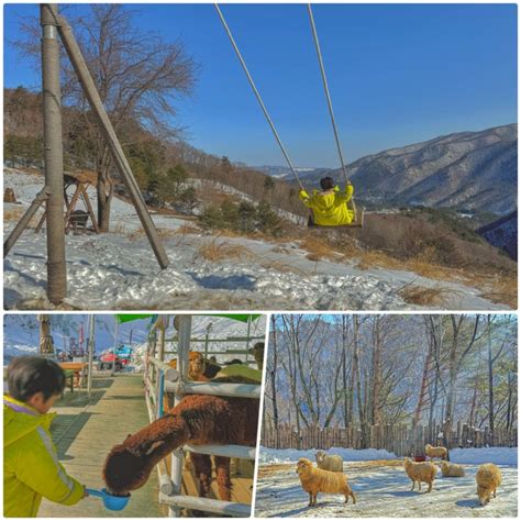 국내 겨울 여행지 추천 평창 애니포레 강원도 데이트 코스 용평리조트 스키장 가볼만한곳 네이버 블로그