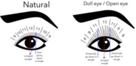 Types Of Eye Shapes