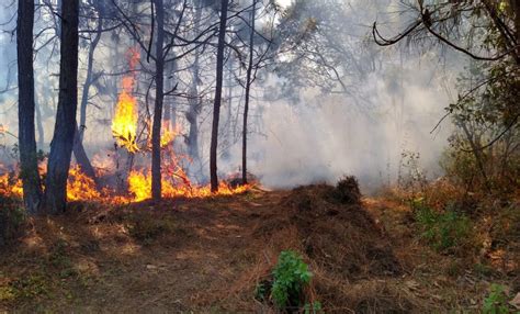 Activos 16 Incendios Forestales En El Estado De México
