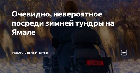 Очевидно невероятное посреди зимней тундры на Ямале Непотопляемый Перчик Дзен