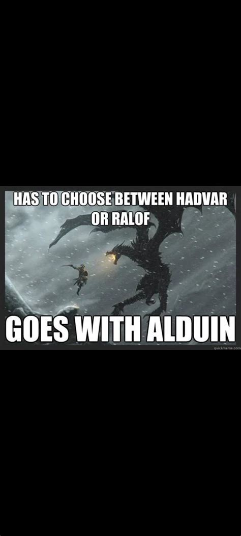 A Better Option Than Either Of Them Rskyrimmemes