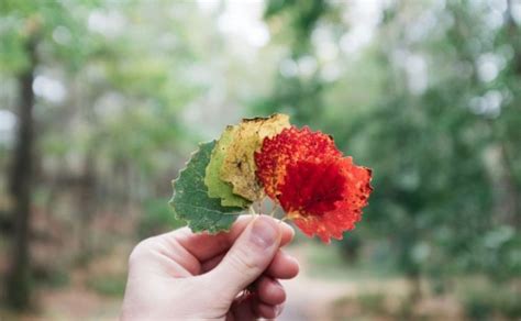 How To Give And Receive Constructive Criticism With Grace