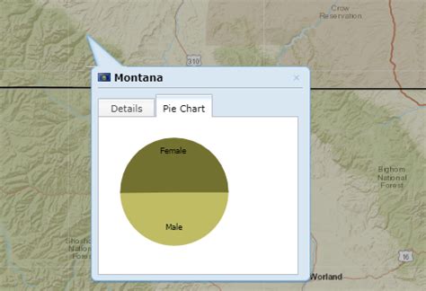 Show Maximize Button In Infowindow Esri Community