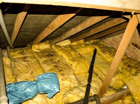 Limportance De La Ventilation De Lentretoit Ce Que Tout Propriétaire