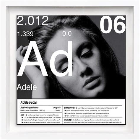 Adele By Daniel Allen Cohen Vaunt Gallery