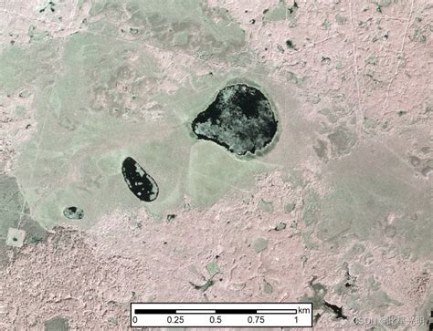 NASA数据集2017 年阿拉斯加和加拿大上空彩色红外图像中的 AirSWOT 水掩模数据集 CSDN博客