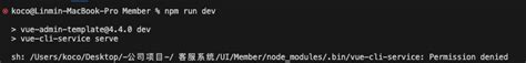 vue项目运行报permission denied（没有权限）解决方法 vue cli service permission denied